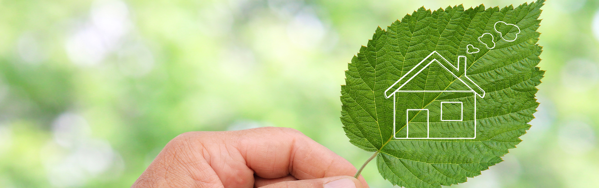 Published October 7, 2015 at 1910 × 600 in Green Rewards . ← Previous ...